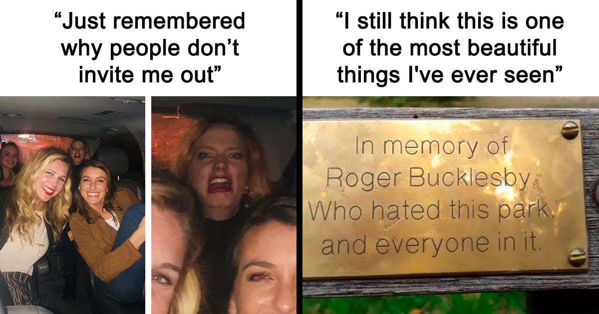 50 Funny Memes To Enjoy In Times When You’re Not Feeling Very Social ...