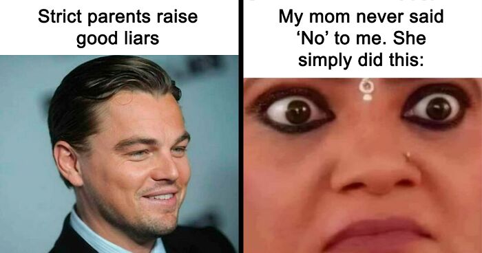 50 Funny Memes That Are Ripe With Sarcastic Undertones For The Whole ...