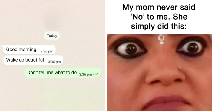 50 Funny Memes That Are Ripe With Sarcastic Undertones For The Whole Family To Enjoy (New Pics ...