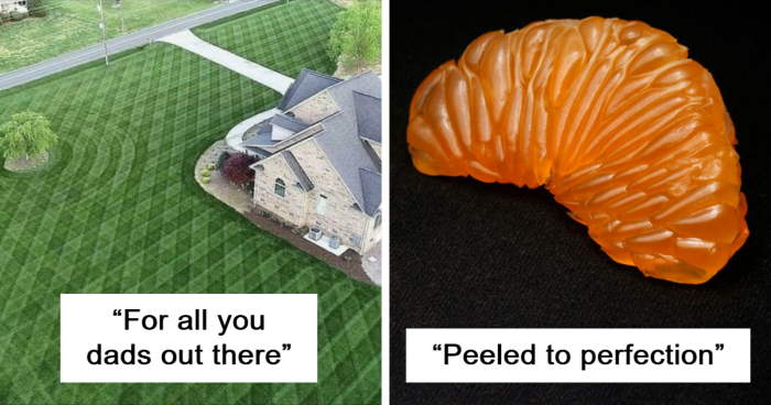 This Online Group Is Dedicated To Things That Are Very Satisfying, Here ...