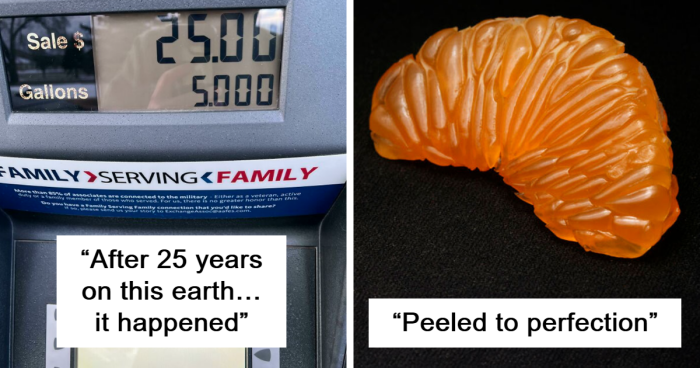 This Online Group Is Dedicated To Things That Are Very Satisfying, Here ...