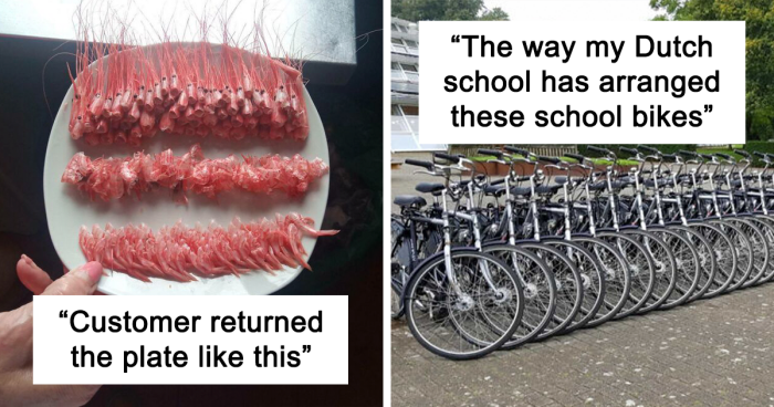 50 Times People Encountered Perfectly Organized Things And Just Had To ...