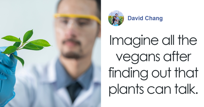 “Amazing” Video Of Plants Talking Has Social Media Reconsidering How ...