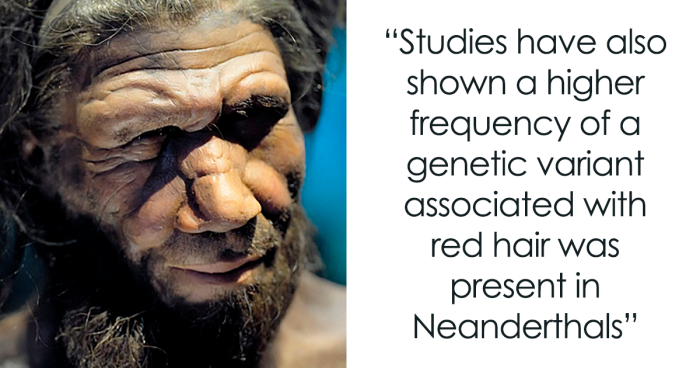 6 Traits That Indicate That You May Have Neanderthal DNA, According To Genetic Engineer | Bored ...