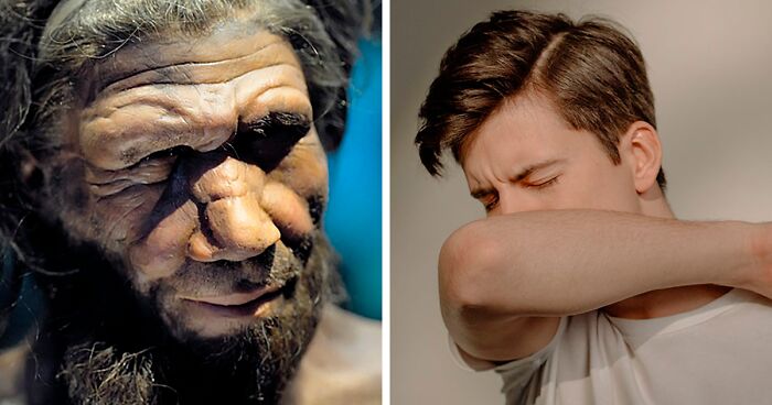 6 Traits That Indicate That You May Have Neanderthal DNA, According To ...