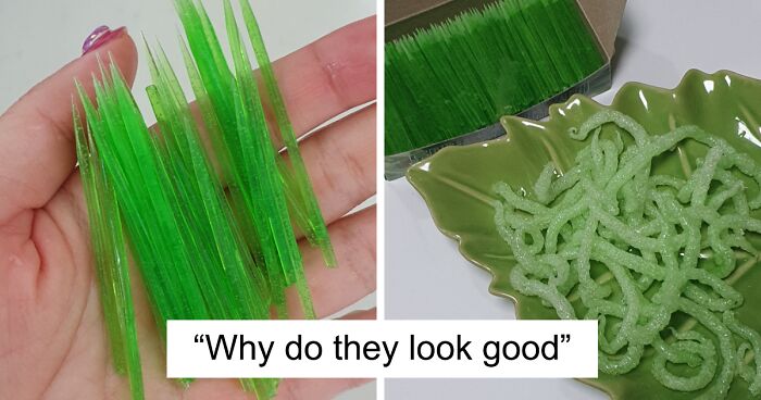 “Please Don’t Eat Them”: South Korea Food Ministry Urges People To Stop ...