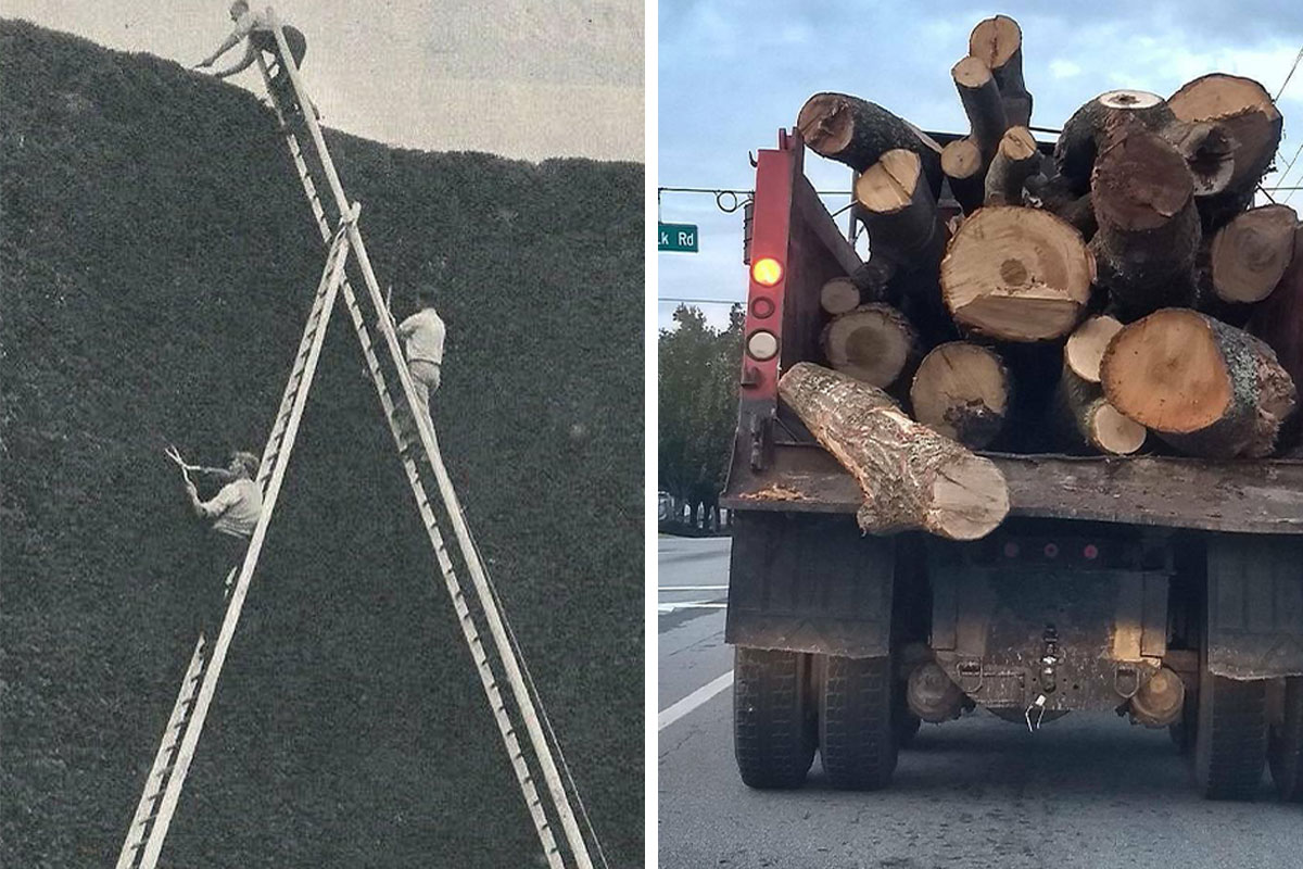 50 Times “Idiots At Work” Showed Just How Stupid Humans Can Be | Bored ...