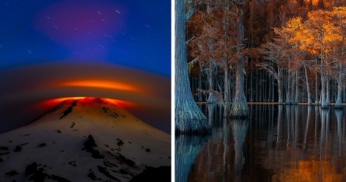 20 Exceptional Nature Photographs Crowned Winners At Tokyo ...