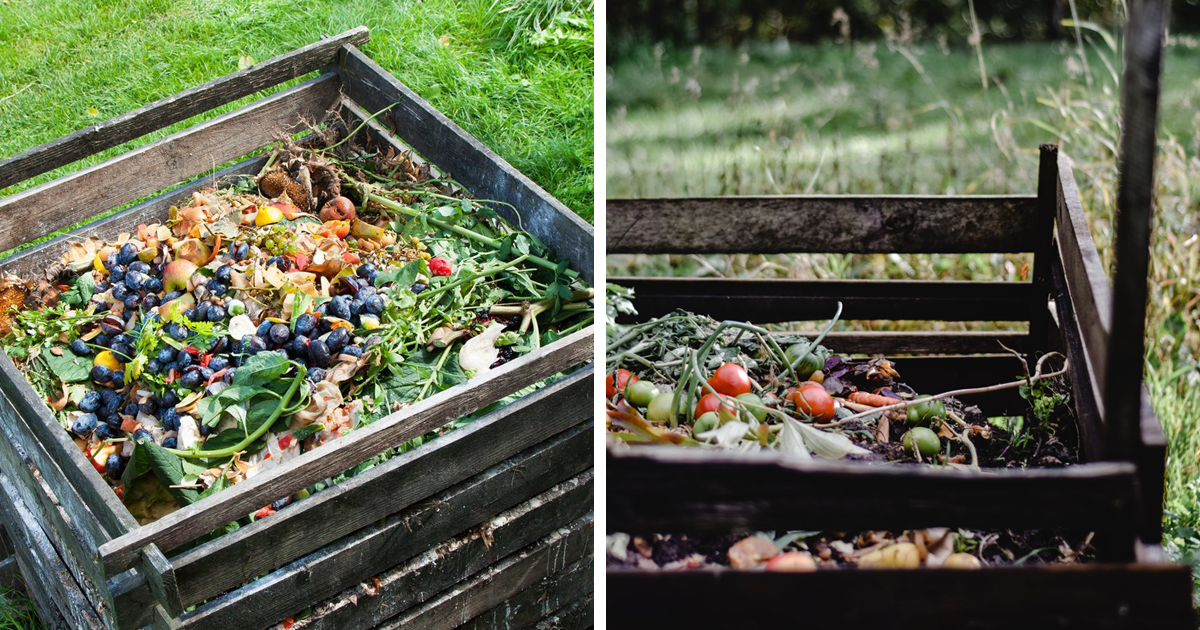 What Is Composting And How To Do It (In Simple Terms) | Bored Panda