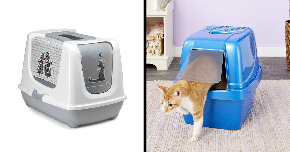 10 Best Cat Litter Boxes To Buy In 2024 | Bored Panda