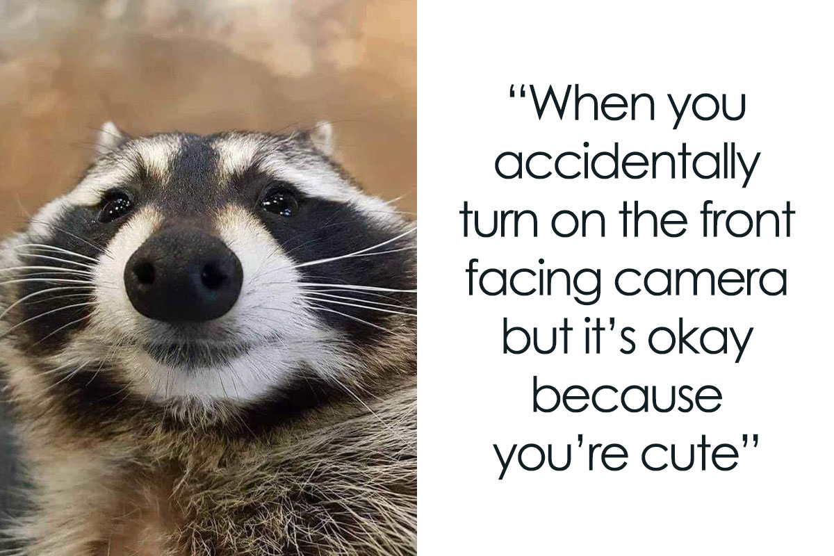 35 Relationship, Life, And Other Chucklesome Memes Shared In This ...