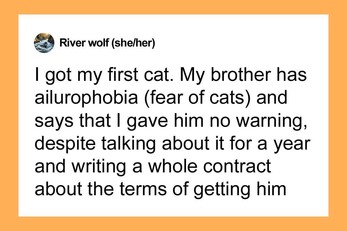 Hey Pandas, AITA For Being Irritated When My Brother Asks Me To Get Rid ...