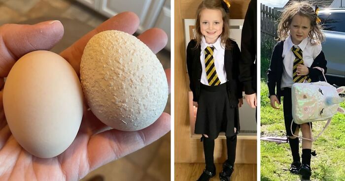 50 Of The Most Interesting Comparison Pics That Might Give You A Fresh ...