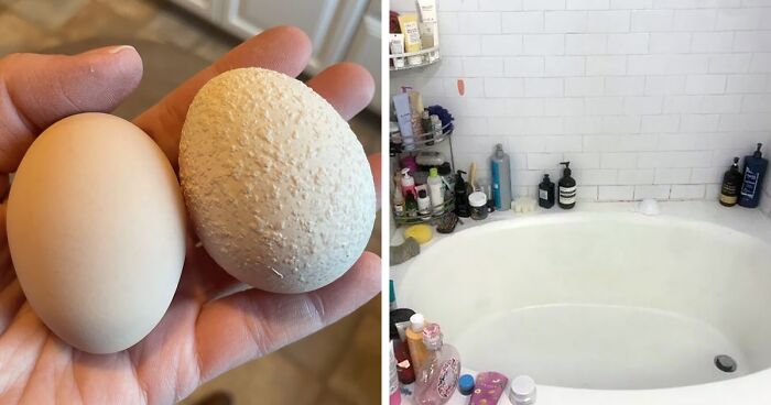 50 Of The Most Interesting Comparison Pics That Might Give You A Fresh ...