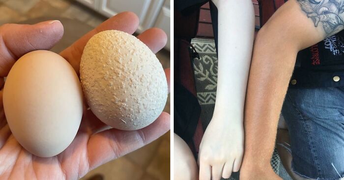 50 Of The Most Interesting Comparison Pics That Might Give You A Fresh ...