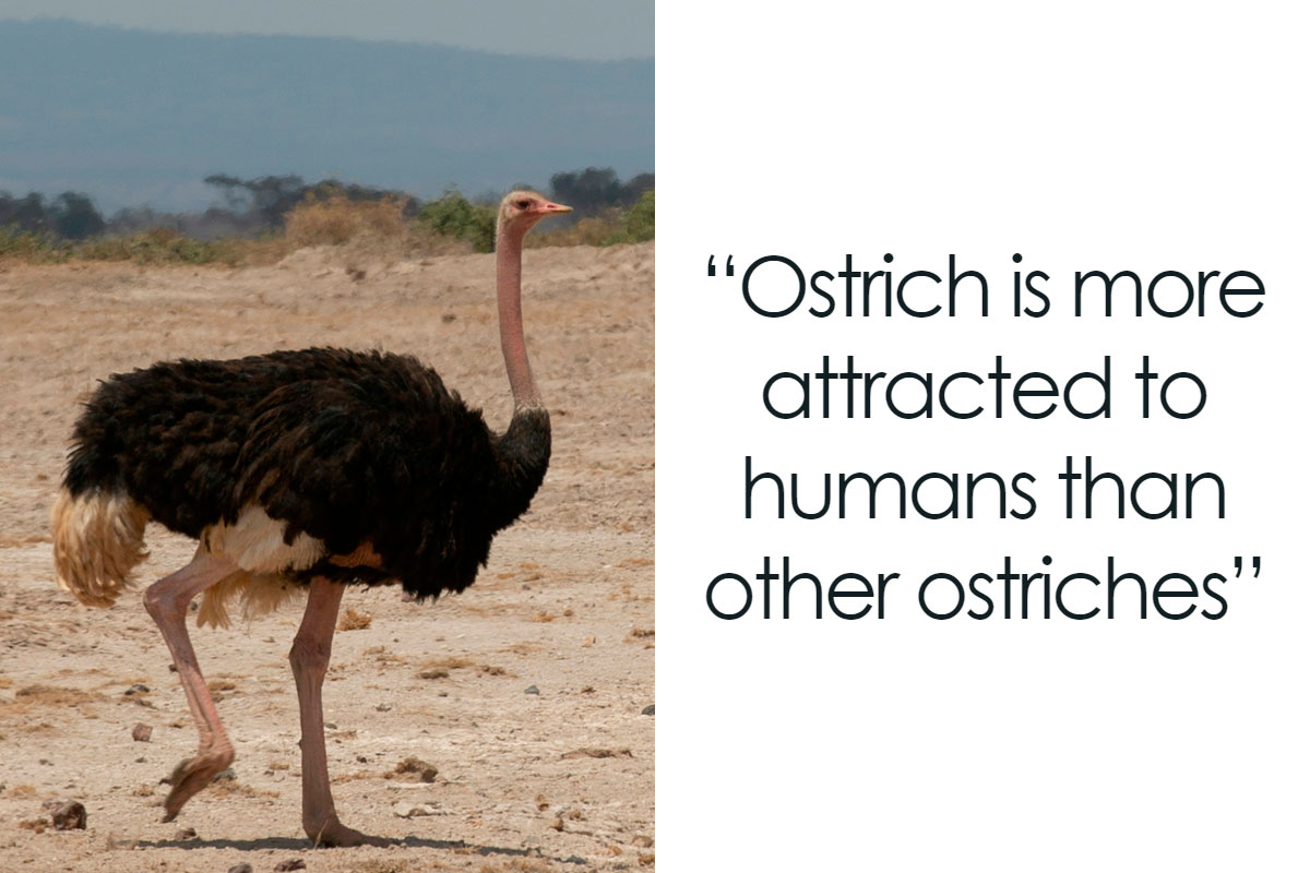 30 Cool And Interesting Animal Facts That People Didn’t Learn At School ...