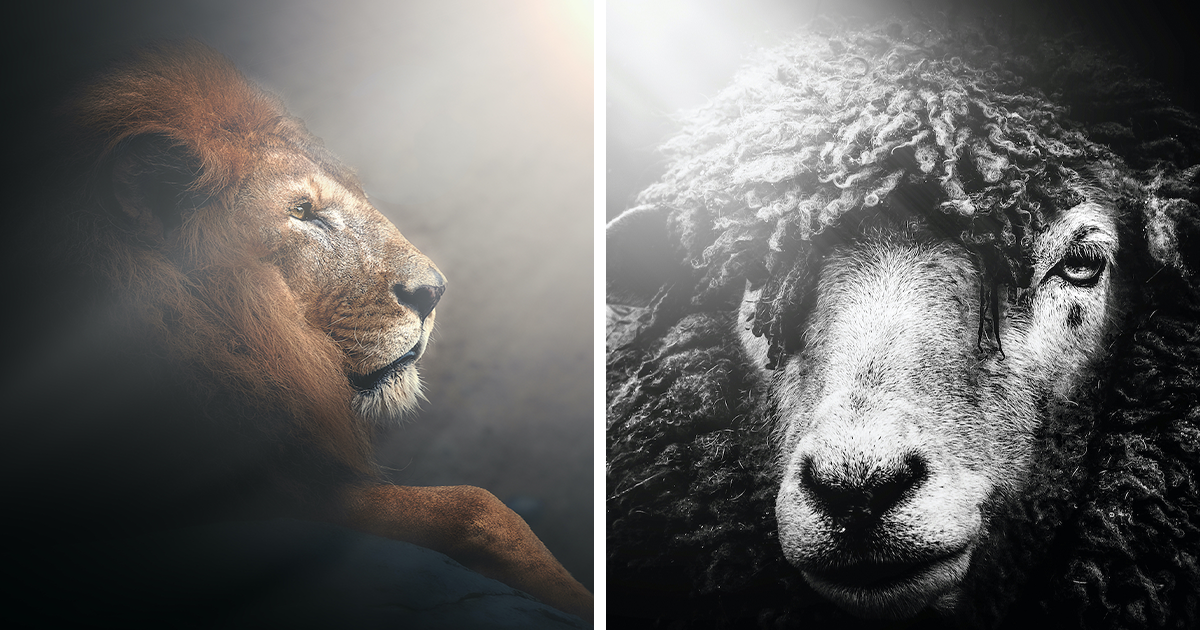 12 Photos Of Majestic Animals I Took At The Zoo | Bored Panda