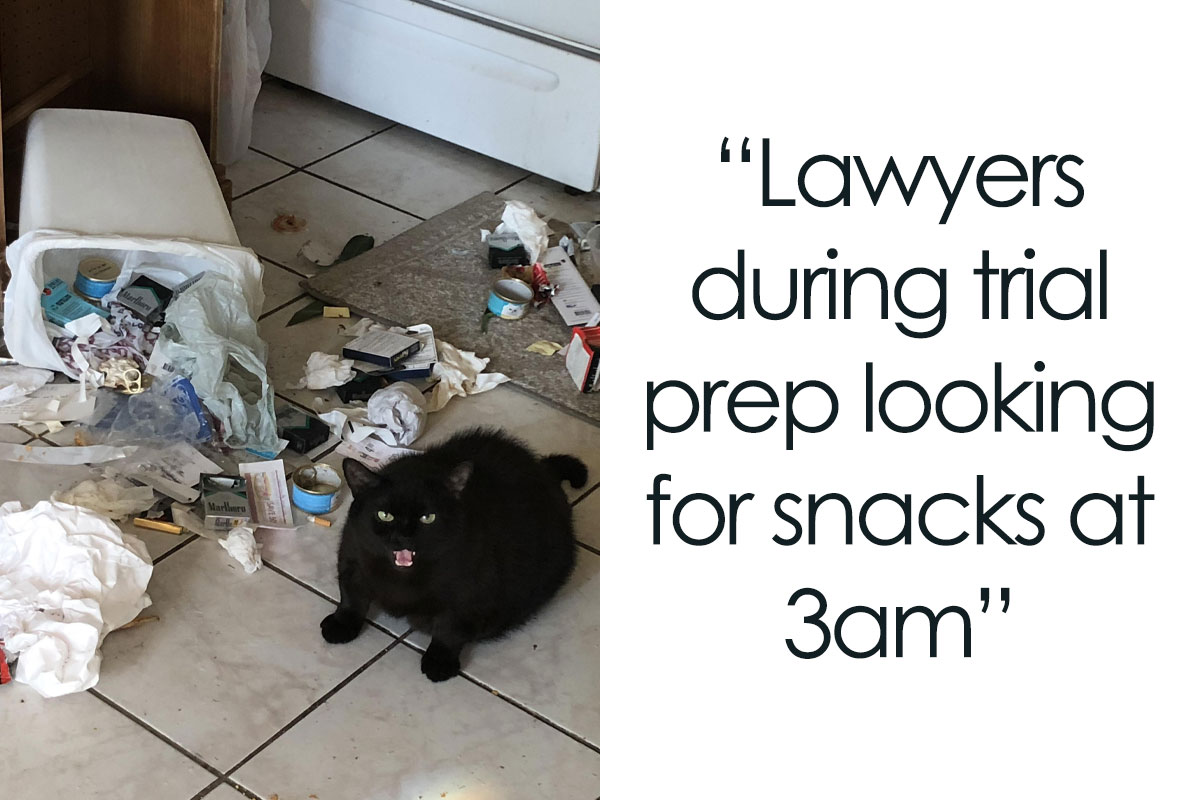 30 Hilarious Attorney Problems Memes That May Hit Close To Home If You ...