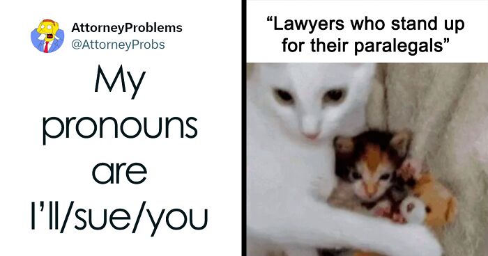 30 Hilarious ‘Attorney Problems’ Memes That May Hit Close To Home If ...