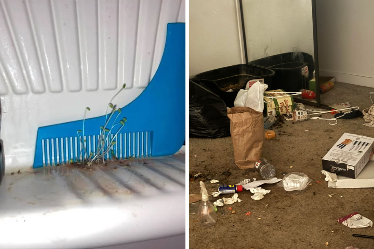 50 Posts Of Bad Roommates That Might Prevent You From Ever Living With ...