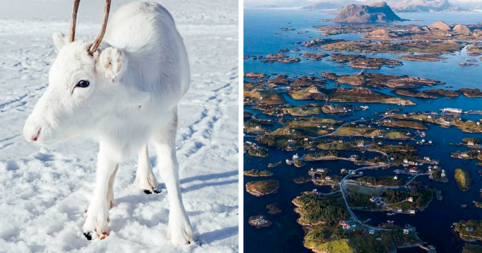 30 Captivating Photos Of Norway That Perfectly Illustrate Why This ...