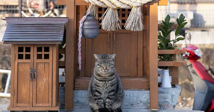 50 Captivating Images By Masayuki Oki Celebrating The Quirky And ...