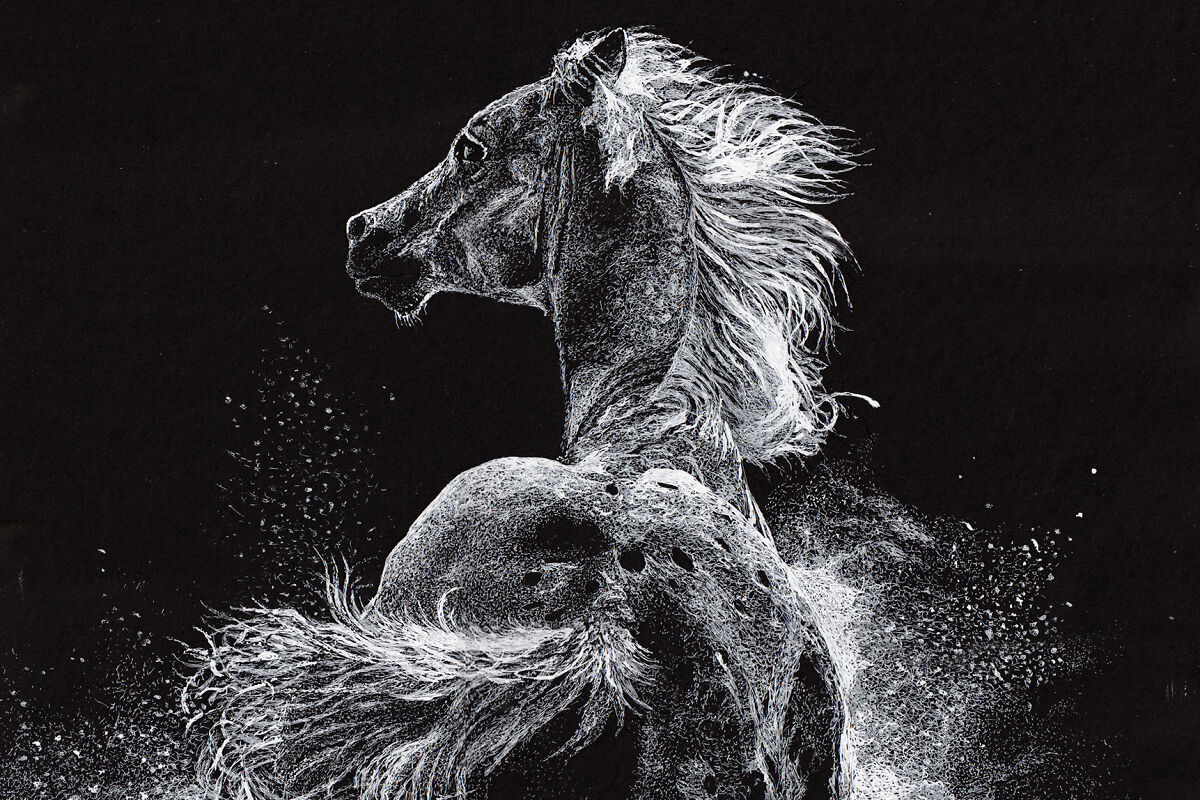 White On Black: 14 Of My Newest Artworks | Bored Panda