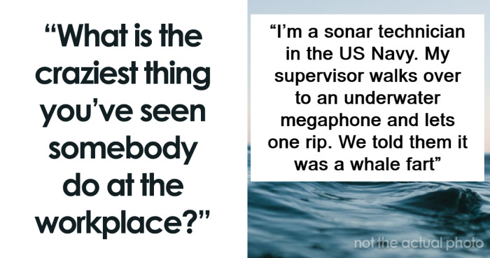 30 Times Workers Did Something So Unhinged, They Became Office Legends ...