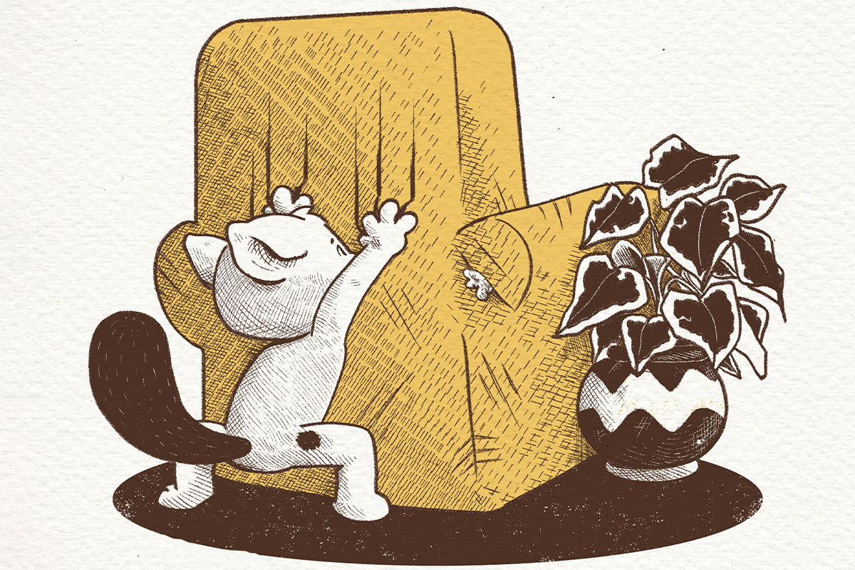 I Make Cute Illustrations Featuring An Introverted Cat That Is Just ...