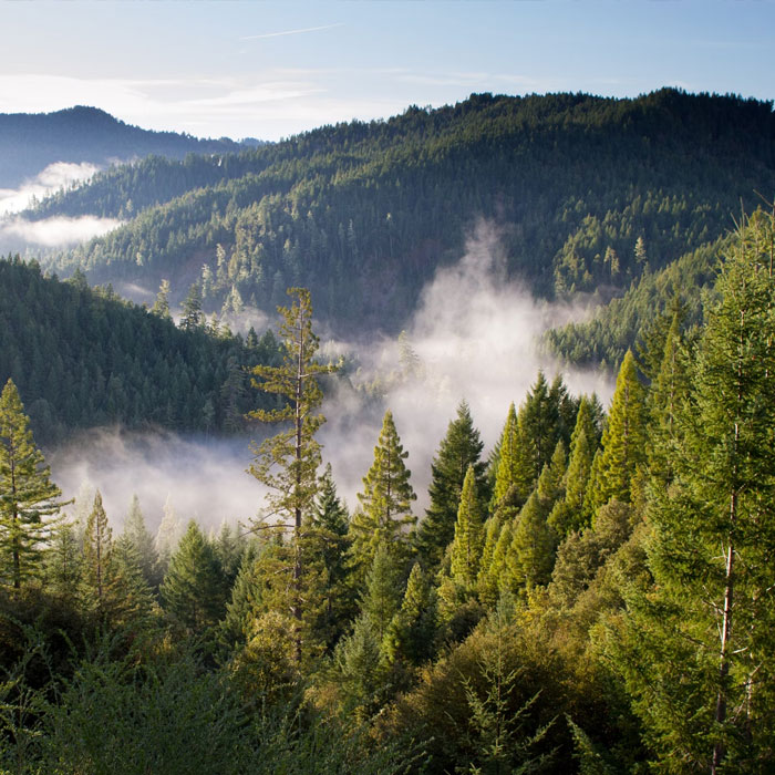 66 Earth Day Trivia Questions For Environmental Protection Enthusiasts ...