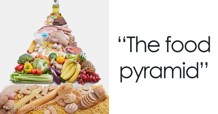 30 Facts People Learned In School That Are Now Disproven Because ...