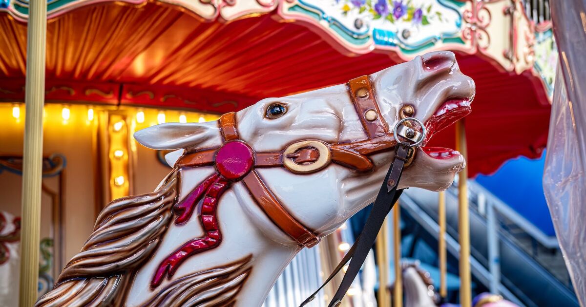 PETA Demands Carousel-Maker To End Animal Designs As They ...