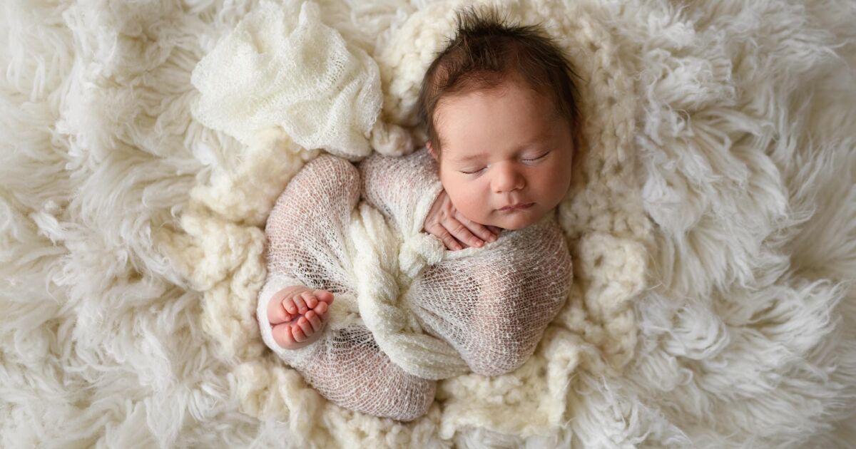 I Photograph Babies In Denver, Colorado (8 Pics) | Bored Panda