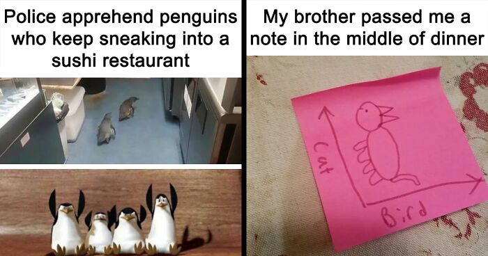 50 Top-Quality Bird Memes To Make You Grin Today, As Shared By This ...