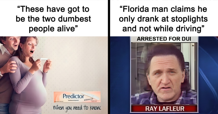 “Daily Humor Memes”: 40 Of The Best Posts From This Page Dedicated To ...