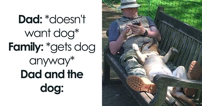 63 Funny Animal Memes That Prove Pets Are The Ultimate Comedians ...