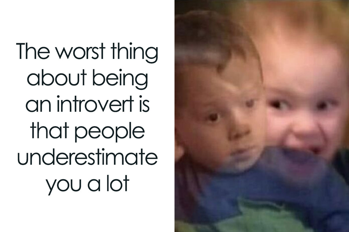 45 Memes That Introverts And Those Of Us Who Dislike People May Enjoy ...