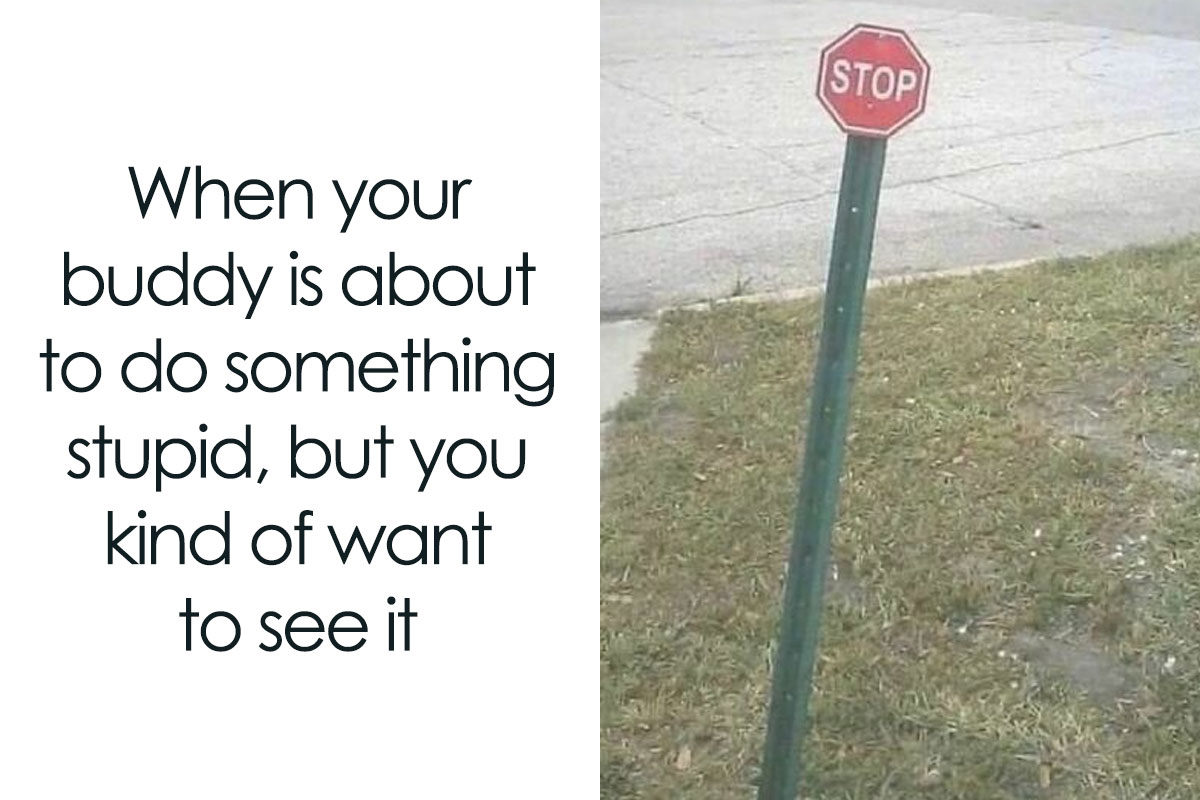 This Page Is Dedicated To Hilarious And Random Memes, Here Are The 50 ...