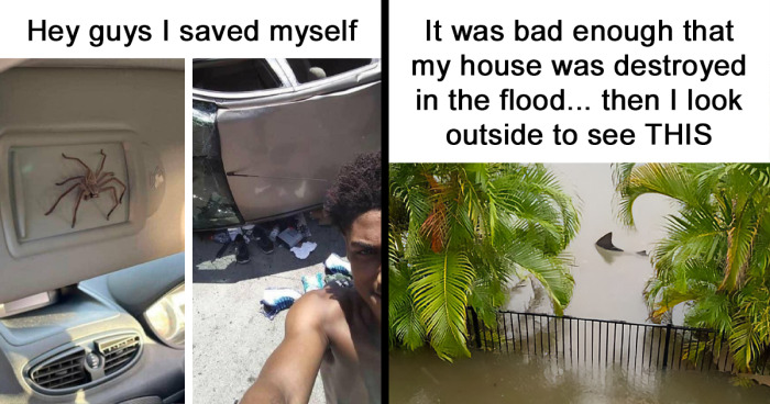 This Page Is Dedicated To Hilarious And Random Memes, Here Are The 50 ...