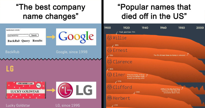 30 Interesting Facts About The World Masterfully Crafted Into Visual ...