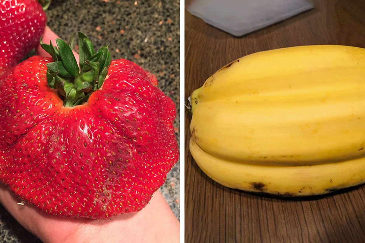 “A Real Monster Nightmare”: 50 Times Mother Nature Glitched Out And It ...