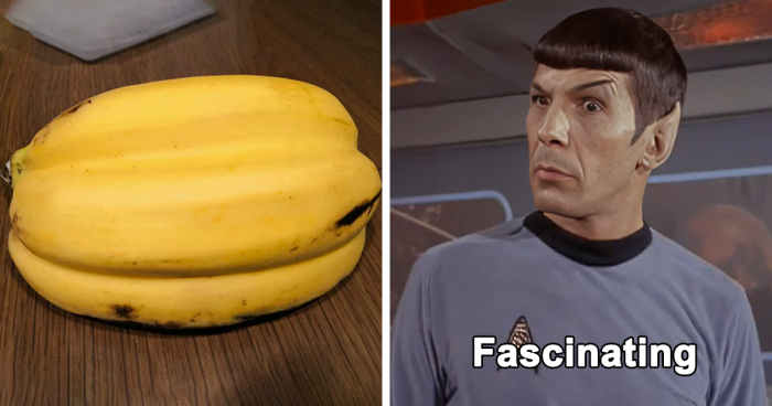 “A Real Monster Nightmare”: 50 Times Mother Nature Glitched Out And It ...