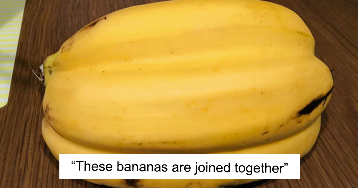 “A Real Monster Nightmare”: 50 Times Mother Nature Glitched Out And It ...