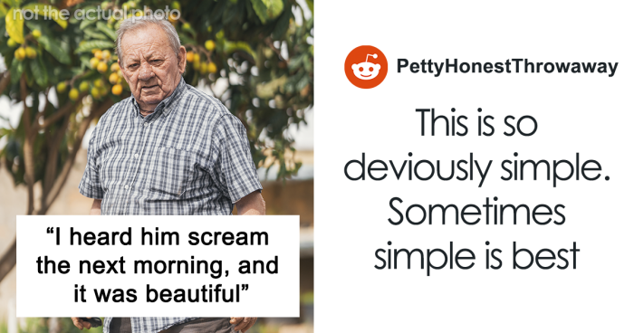 Controlling And Rude Neighbor Wakes Up To A Surprise After Teenager ...