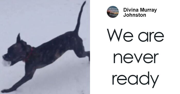 “Well, I’m Bawling”: Fans React To Jon Stewart’s Story About His Late ...