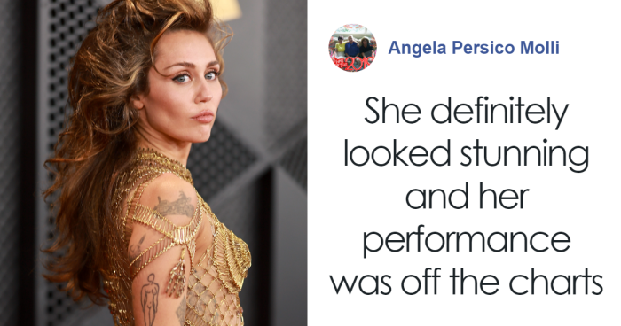 Miley Cyrus Arrives At 2024 Grammys In See-Through Dress Made Of Safety ...