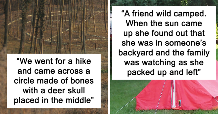 Folks Share The Most Disturbing Things They’ve Seen While Camping And ...