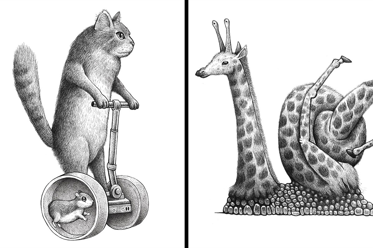 30 Nonsensical Scientific Illustrations Of Wildlife By Tim Andraka | Bored Panda