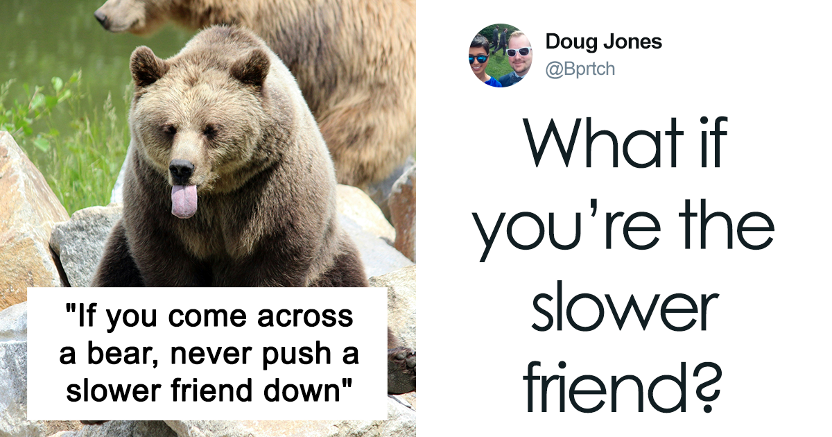 Sarcastic Bear Memes Bear Y Good Vibes: 21 Memes From Fat Bear Week