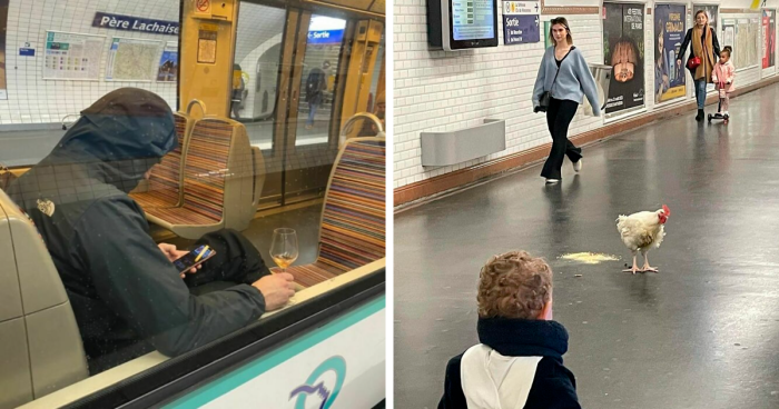 35 Times People Spotted The Wildest Things On The Paris Metro And Had ...